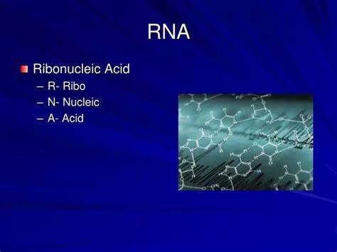Ppt Rna Powerpoint Presentation Free Download Id 6312471