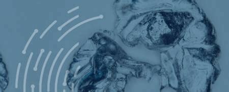 SWIFT Messaging Types MT And MT What S The Difference