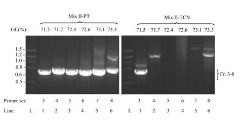 Amplification Of Various Gc Rich Genomic Dna Fragments From Whole Human Download Scientific