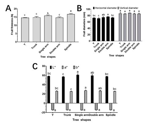 The Effects Of Different Tree Shapes On Fruit Firmness A Fruit
