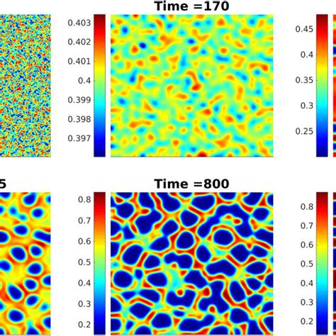 Experiment 1 Spinodal Decomposition Time Evolution Of The Volume Download Scientific Diagram