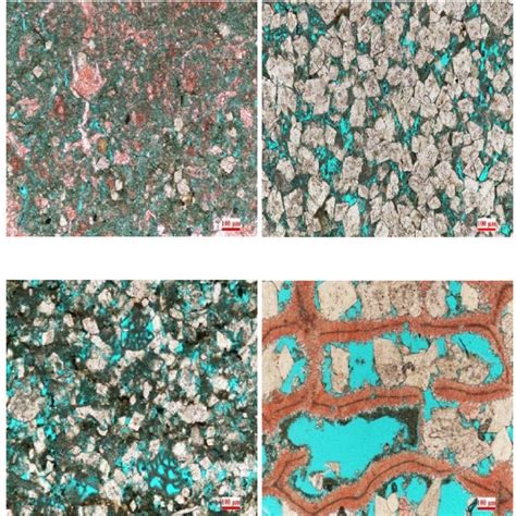 Main Pore Types In Mishrif Formation Download Scientific Diagram