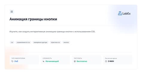 Учебник по анимации границы кнопки Labex