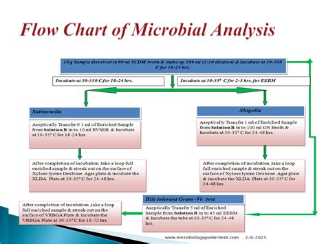 Flow Chart Of Microbial Limit Test Microbiology Guidelines