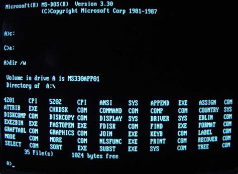 Microsoft Ms Dos