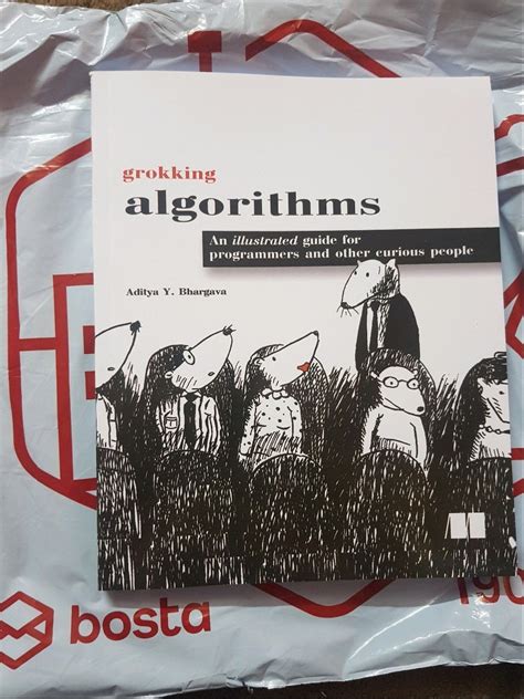 Mohamed Saleh On Linkedin Grokkingalgorithms Dsa 10 Comments
