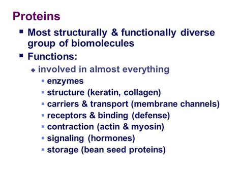 Chapter 3.2 Proteins Proteins Most structurally & functionally diverse group of biomolecules ...