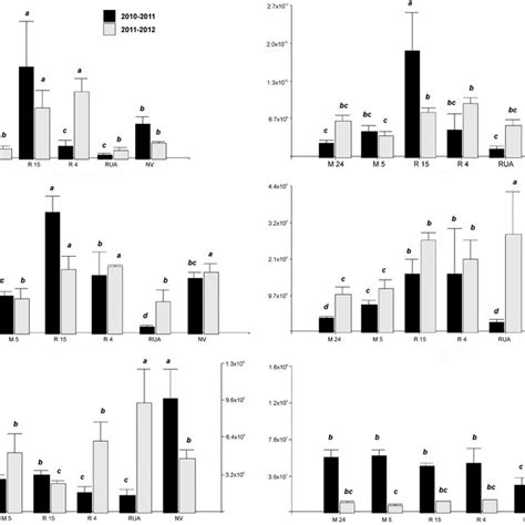 Copy Numbers Of Functional Microbial Groups Involved In Nitrogen