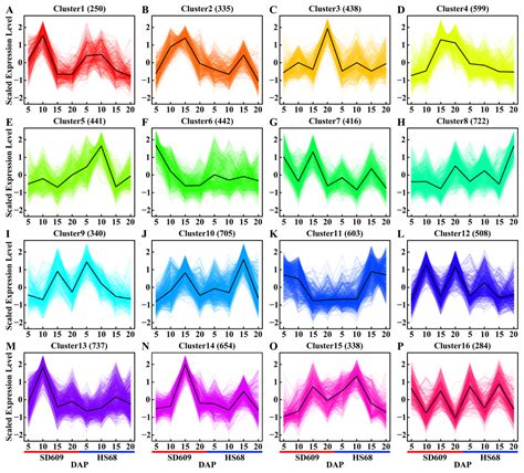 Comparative Transcriptomics Reveals The Difference In Early Endosperm Development Between Maize