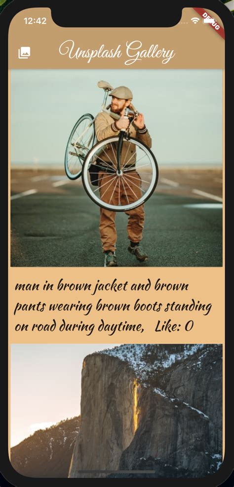 Github Wanderfeysunsplashgallery Unsplash Gallery Application