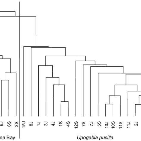 dendrogram for hierarchical clustering group average linking of