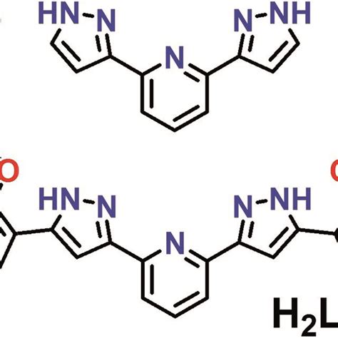 Representation Of Ligands Bpp 26 Bispyrazol 3 Ylpyridine And H2l
