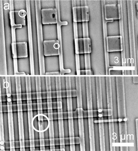 Several Copper Interconnect Structures Imaged In Positive Phase Download Scientific Diagram