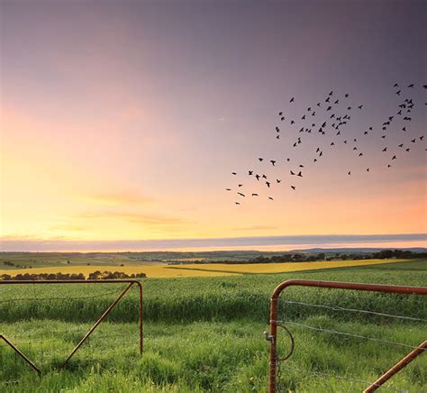Public Information In A Biosecurity Response National Biosecurity Training Hub