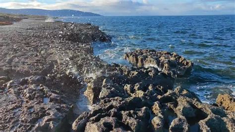 Zakir Hossain On Linkedin Newquay