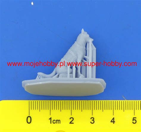 Mpc Multi Purpose Canine Gg Simulations Models Mpc1
