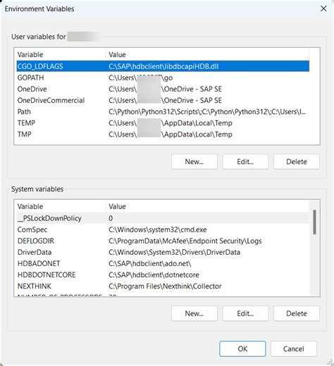 Connect Using The Sap Hana Go Interface Sap Tutorials
