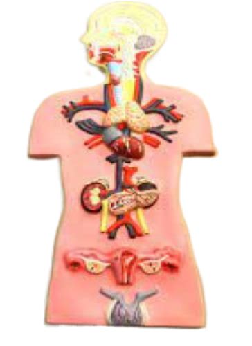 Order Code 2122444069