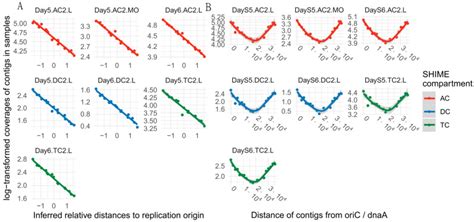 Lacticaseibacillus Rhamnosus Strain GG LGG Regulate Gut Microbial Metabolites An In Vitro