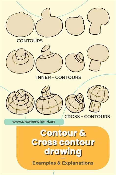 Contour Cross Contour Drawing Examples