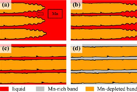 Figure 1 From The Evolution Of Heterogeneous Microstructure During