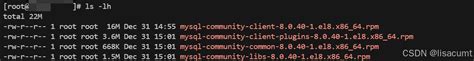 【mysql】linux安装mysql客户端linux Mysql Client Csdn博客