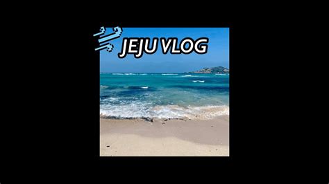 Vlog 제주도혼여행뚜벅이여행 Youtube