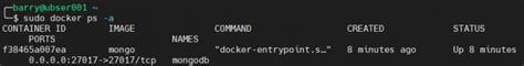 How To Run MongoDB As A Docker Container BMC Blogs