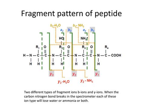 Ppt Protein Structure Powerpoint Presentation Free Download Id2175821
