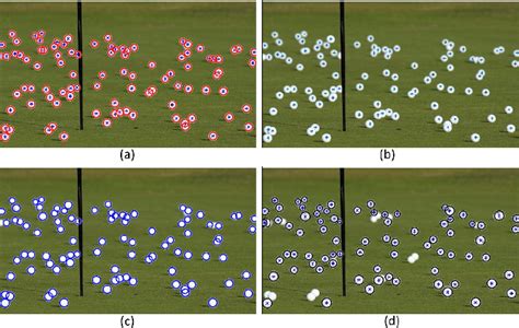 Figure 1 From A Blobs Detection Algorithm Based On A Simplified Form Of The Fast Radial Symmetry