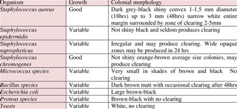 Staphylococcus Saprophyticus Colony Morphology