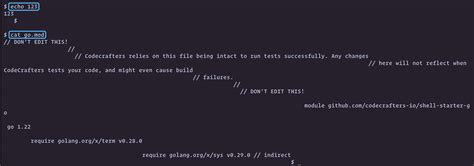How Is Test Input Passed To Shell Program In Testing Environment Challenges Codecrafters