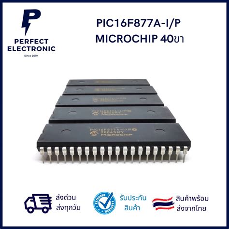 PIC16F877A I P MICROCHIP 40ขา รบประกนสนคานานทสด Shopee Thailand