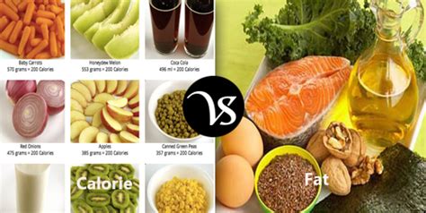 Difference Between Calories And Fat Difference All