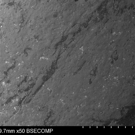 Scanning Electron Microscope Sem Micrograph Of The Plate Obtained In