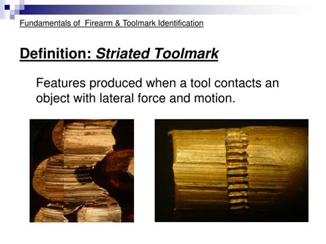 Ppt Firearm And Toolmark Identification Powerpoint Presentation Id 967889