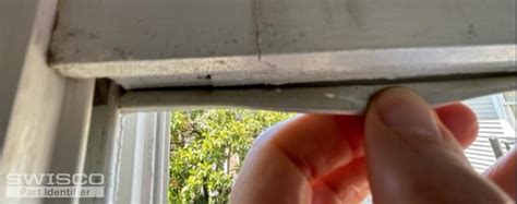 Double Hung Window Bottom Seal SWISCO Com