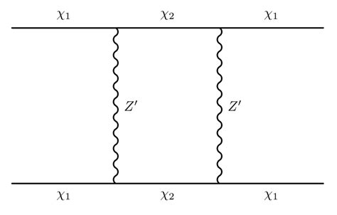 the feynman diagram for the self interaction of dm there are seven