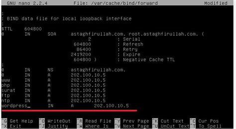 install cms wordpress di linux debian 6 server networking and computers