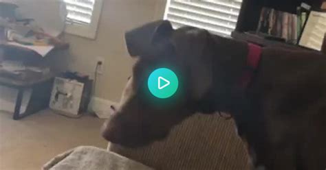 Calculate Distanceset Feetjumpbullseye Album On Imgur