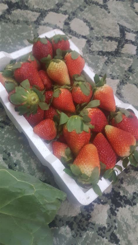 Holly Halston On Twitter Qm6tf6ei6p Twitter