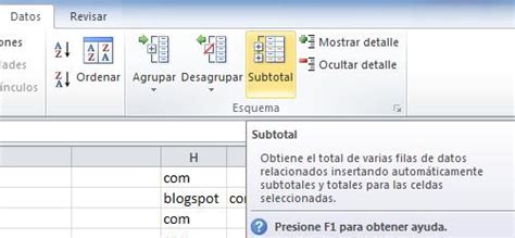 Subtotales Ficha Datos Excel Intermedio