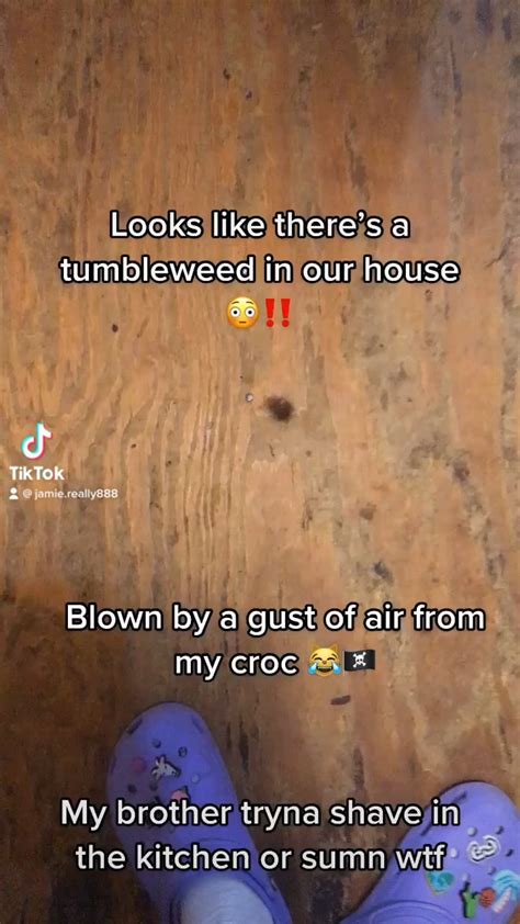 Theres A Wild Bramblin In Our House Bruh It Need To Leave Im Not Catching It R Pokemonmemes