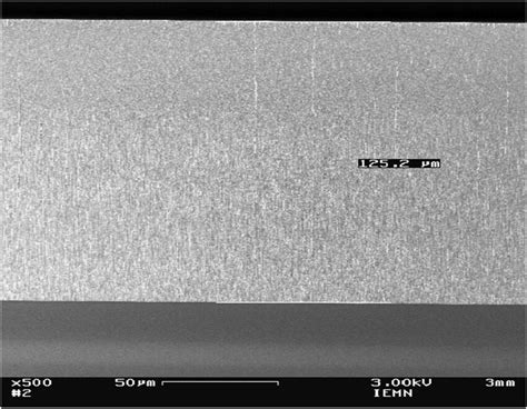 Scanning Electron Microscopy Sem Image Of A Mesoporous Silicon Layer Download Scientific