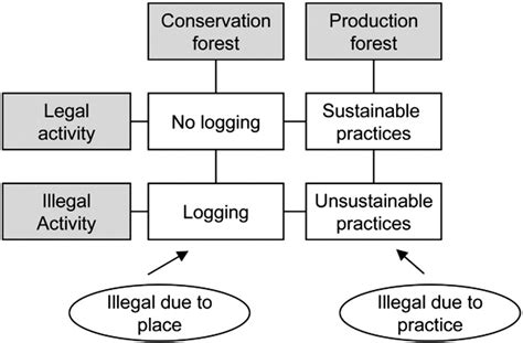 Types Of Illegal Logging Download Scientific Diagram