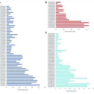 GO Function Annotation And Enrichment Analysis A Biological Download Scientific Diagram