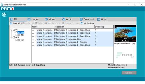 Remo Duplicate File Remover 1 0 0 11 Download Filecr