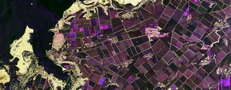 Agricultural Crop Classification With Synthetic Aperture Radar And Optical Remote Sensing Eo