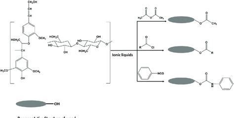 Representative Structures Of Wood Components And The Homogenous