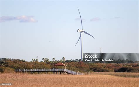 브라질 리오 그란데의 카파오 다 카노아에 있는 해상 공원 라고아 도스 쿼드로스에서 촬영한 사진 리오그란데 두술 주에 대한 스톡 사진 및 기타 이미지 Istock